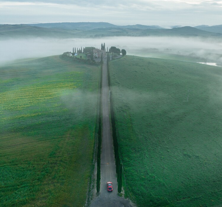 Peugeot X Yellow Korner